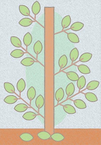 CSS Vertical align Vertikale Ausrichtung Von Elementen