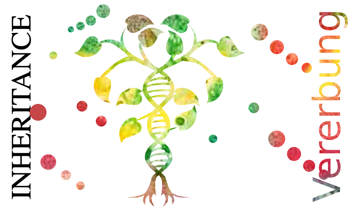 CSS Vererbung – Inheritance | mediaevent.de