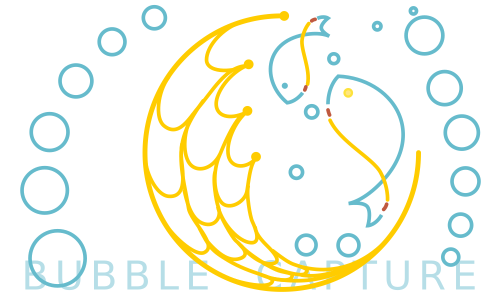 Javascript Eventlistener Capture Oder Bubble Mediaeventde 6390